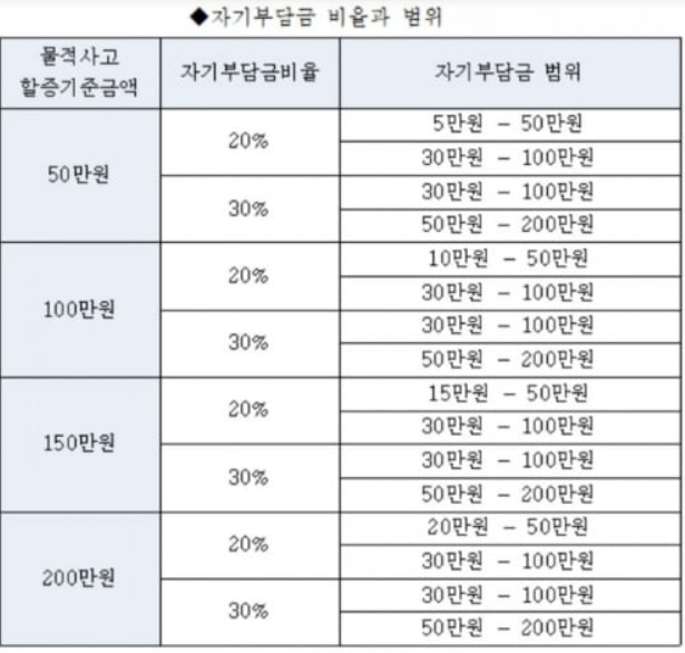 자동차보험 면책금 자기부담금 차이 장단점 총정리얼마가 적당할까