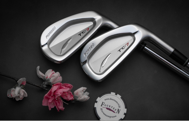 관용성의 대명사 포틴 아이언(TC7, TB5)의 모든 것!