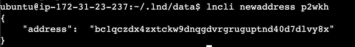LND source build #2 wallet create