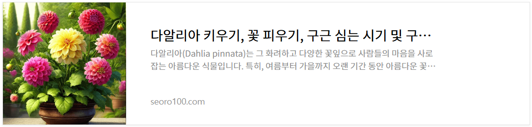 루드베키아 키우기 꽃 피우기 번식 모종 및 파종시기와 방법 꽃말 종류