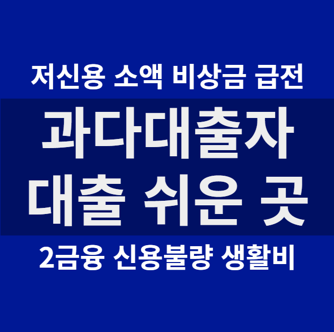 과다대출자 대출 가능한 곳 추가대출 사금융 주부 저신용