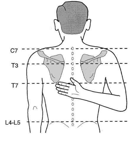 9. 소원근(Teres minor) 해부학 [알면 이득 모르면 손해]