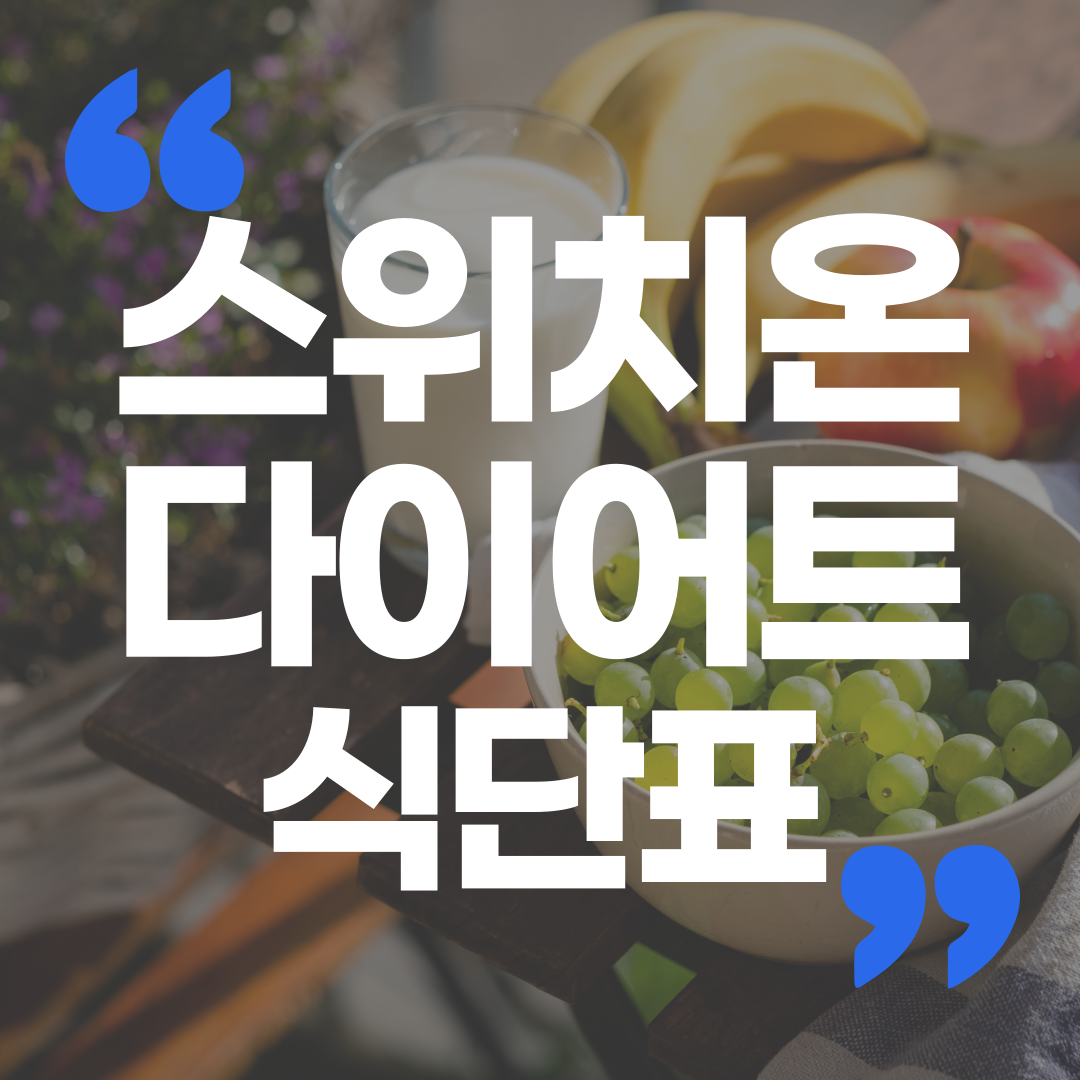 스위치온 다이어트 식단표 및 후기 방법 총정리
