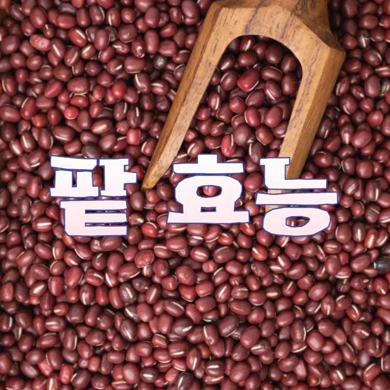 팥 효능 성분 부작용