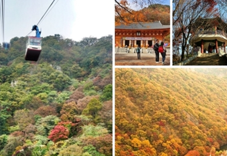 내장산 케이블카 이용방법 정리