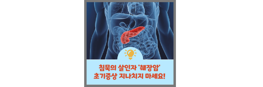췌장암 초기 증상 및 검사 수술 방법 췌장암 2기 3기 4기 생존율 총정리 침묵의 살인자라 불리는 이유