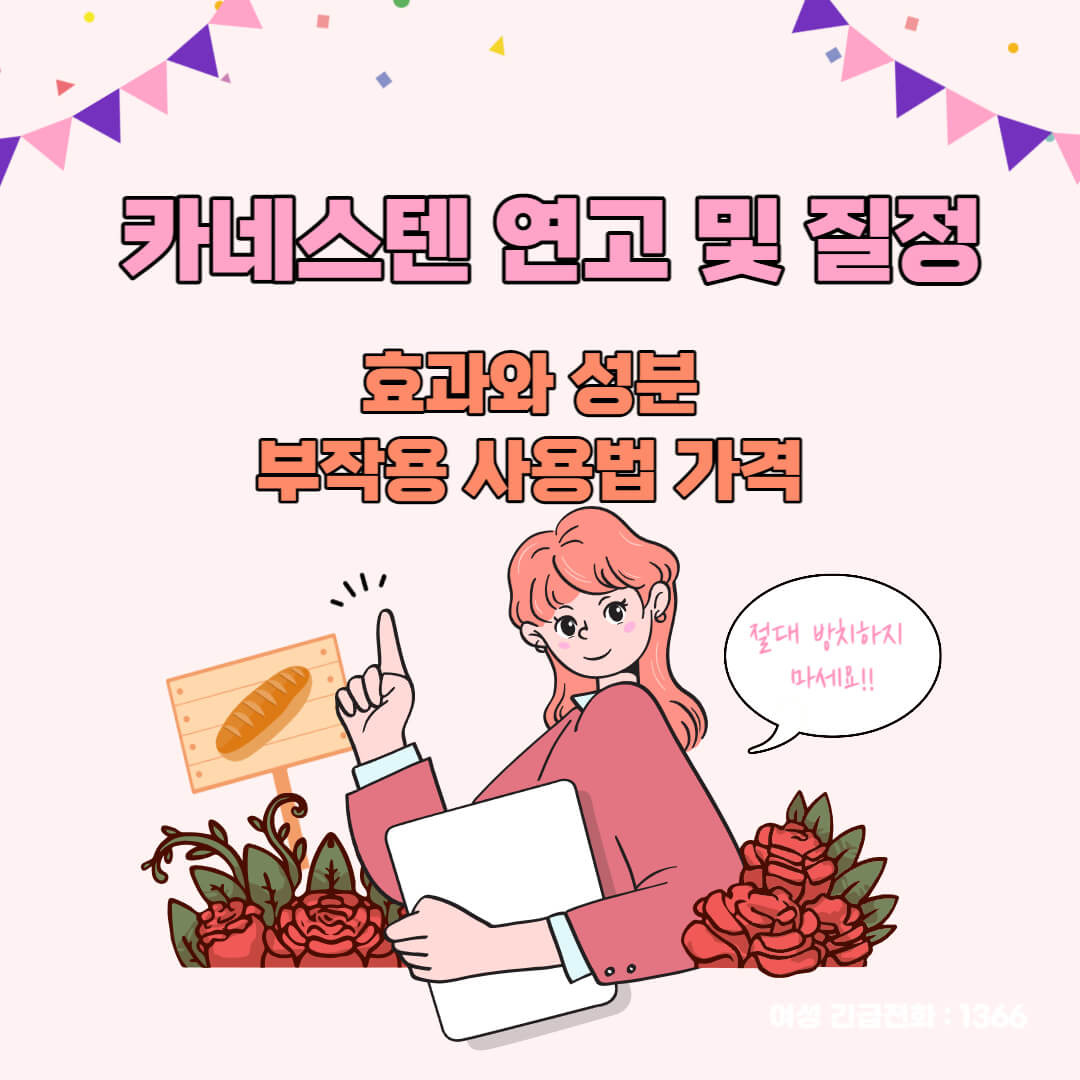 칸디다 질염에 좋은 카네스텐 연고질정 효과와 성분 부작용 사용법 가격