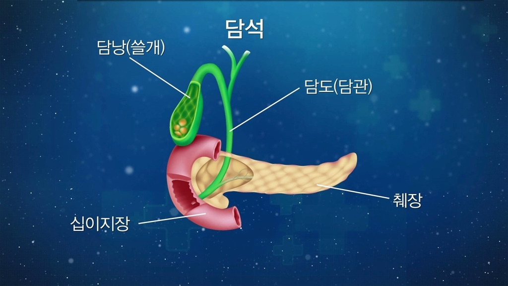 수술 전 꼭 보세요담낭절제술 쓸개제거수술 과정 및 입원준비물 꿀팁 11번가 셀러오피스 로그인 플리마켓 셀러모집 셀러어드민