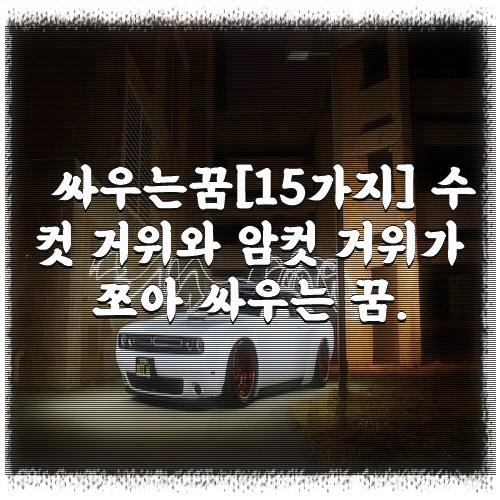 싸우는꿈 15가지 수컷 거위와 암컷 거위가 쪼아 싸우는 꿈