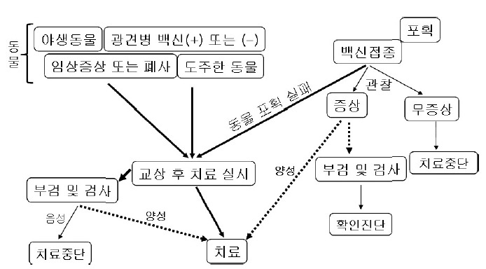 공수병 진단과 치료