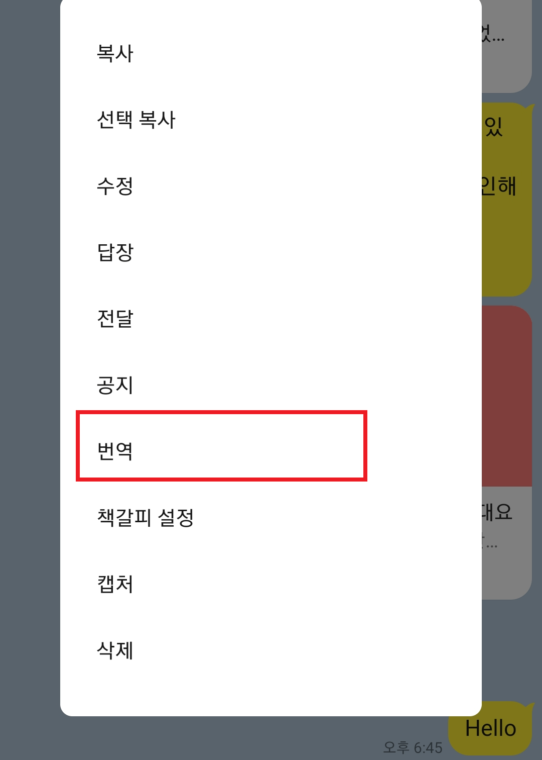 카카오톡 Ai 적용 사용 방법번역 맞춤법