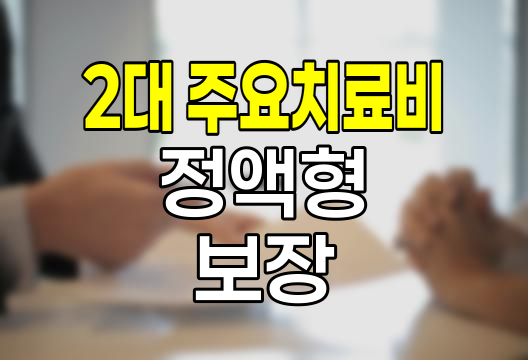 2대 주요치료비 정액형 보장 특징과 활용법 메모리유