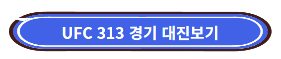 Ufc 313 경기일정 중계방송 페레이라 안칼라예프 분석