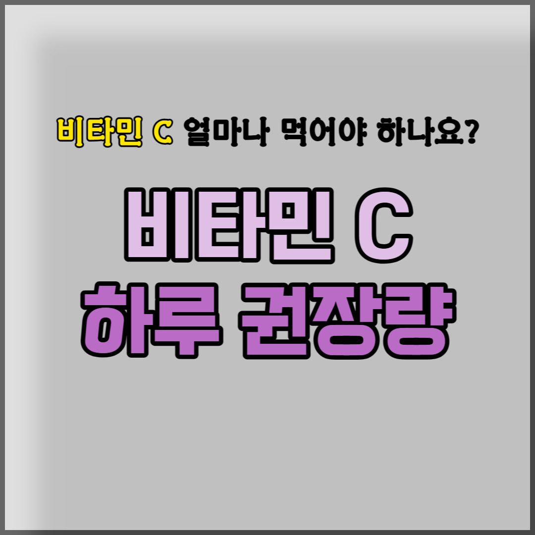 비타민 C 하루 권장량 효능 과다 복용에 대한 고찰