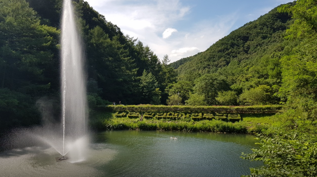 🌳🍃 대전 만인산 자연휴양림 힐링 나들이 여행 가이드 🍃🌳