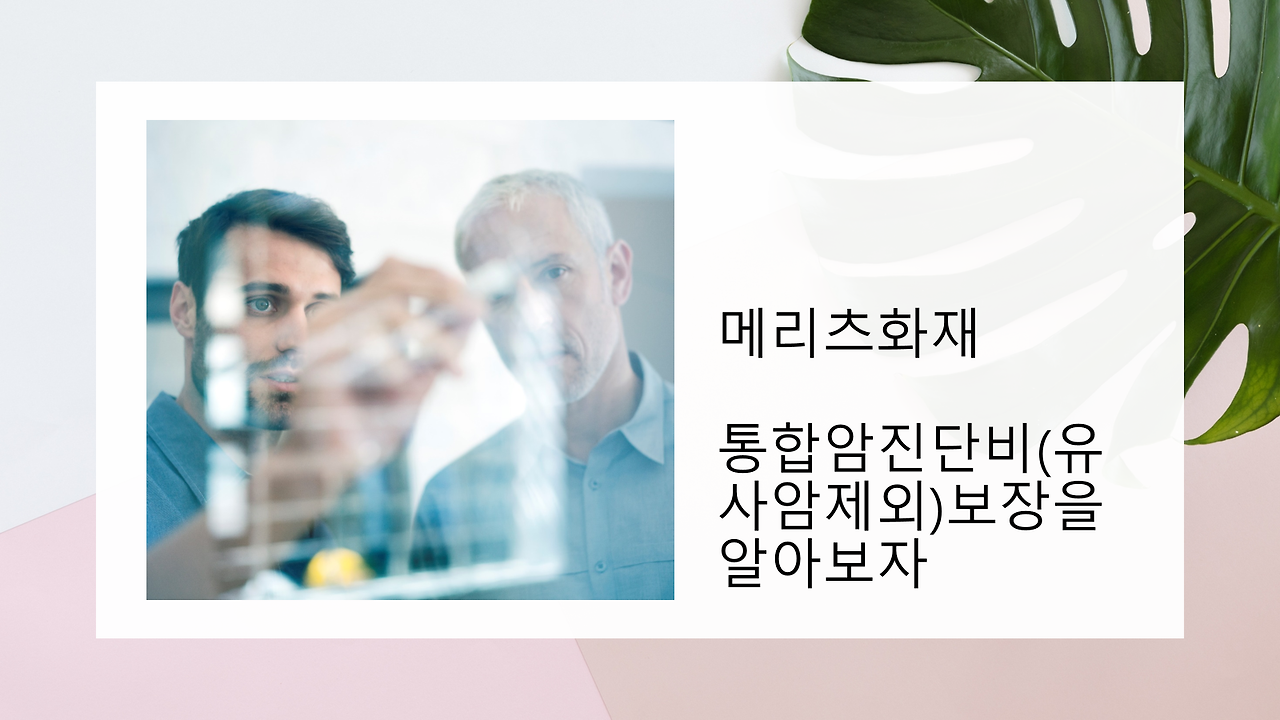 메리츠화재 통합암진단비유사암제외보장을 알아보자