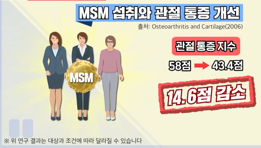 Msm의 효능 부작용 가격 정리 5분전 유용한 건강 요리 소식