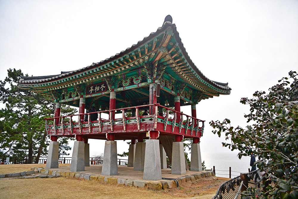 충남 서천 마량리 동백나무 숲 조금 늦게 꽃을 피워 더 특별한 축제 서천 동백꽃 주꾸미 축제 충남 서천 동백꽃 축제