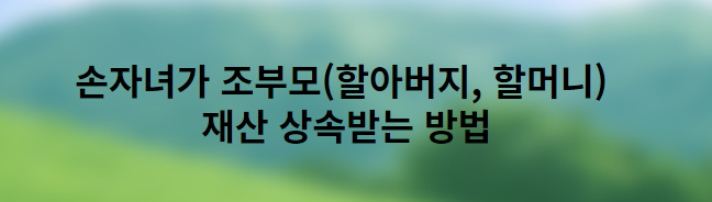 손자녀가 조부모할아버지 할머니 재산 상속받는 방법 법무서비스 질적인 측면