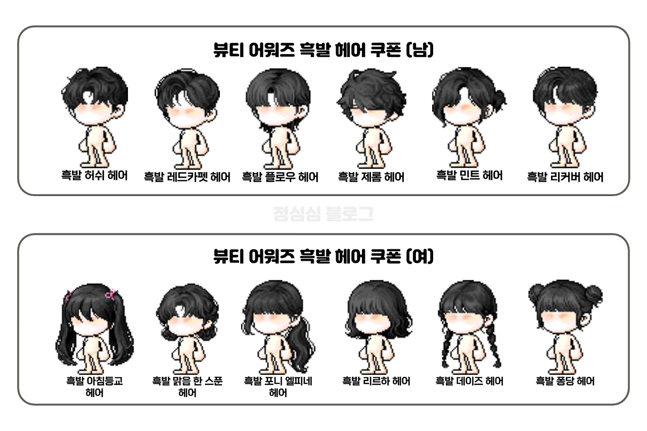 메이플스토리 뷰티어워즈 흑발 헤어 And 백안 성형 출시