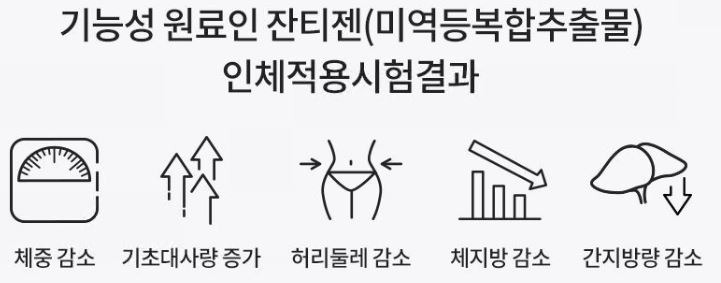 푸응 나이트버닝 4가지 다이어트 효과 Elastic Sourcex