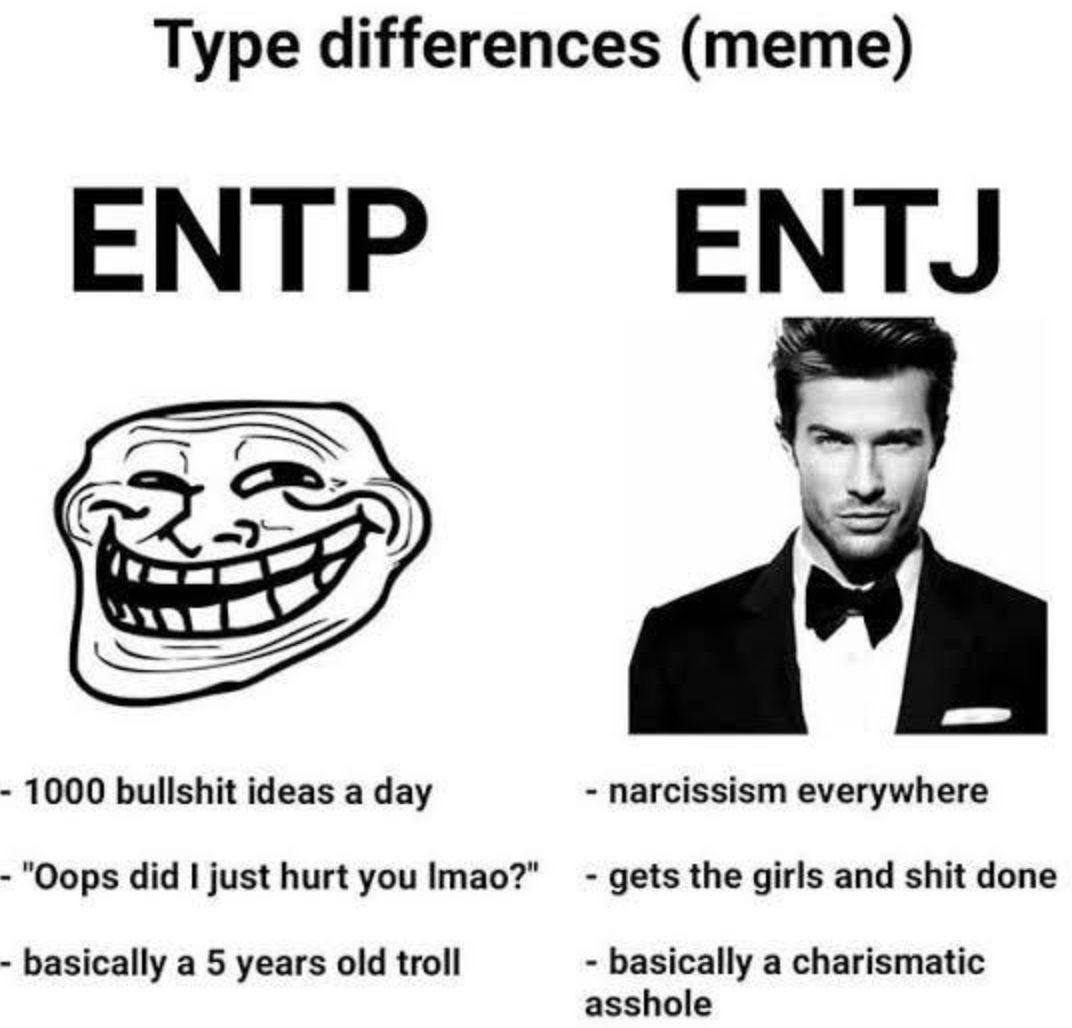 Entj 특징 성격 남자 여자 연애 궁합 엔티제