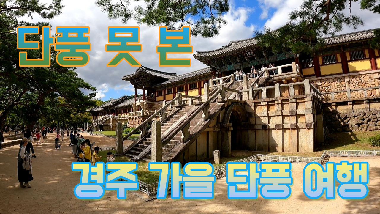 단풍 구경 못한 경주 가을 단풍 여행 경주 불국사 대릉원 첨성대 월성 동궁과 월지안압지