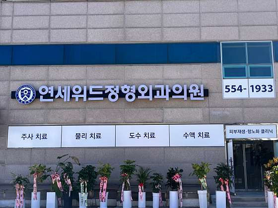 전라남도 완도군 성형외과 추천 List 잘하는 곳 1곳
