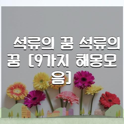 석류의 꿈 석류의꿈 9가지 해몽모음