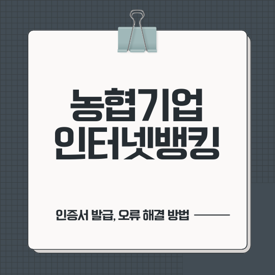 농협 기업인터넷뱅킹 인증서 발급 오류 해결 방법 비밀번호 분실 갱신 재발급