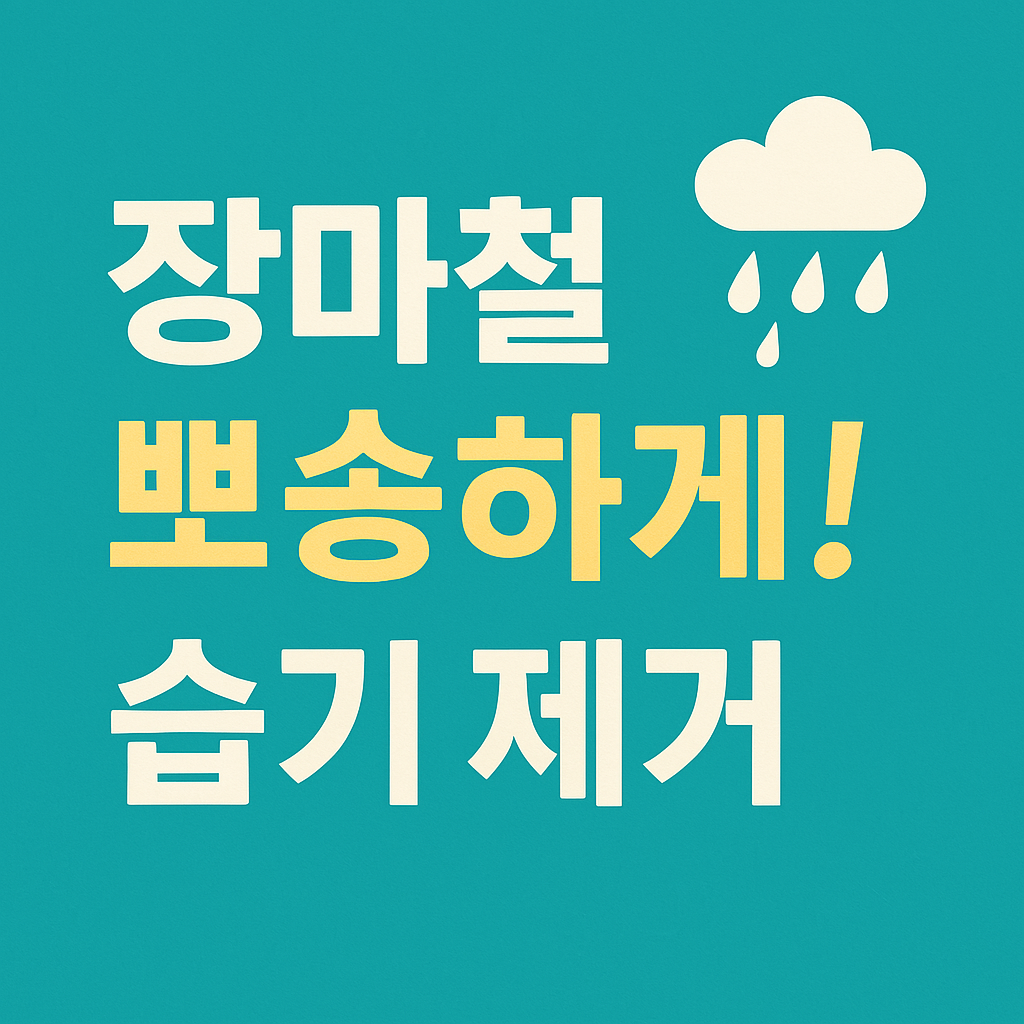 여름 장마철 집안 뽀송하게 만드는 습기 제거법