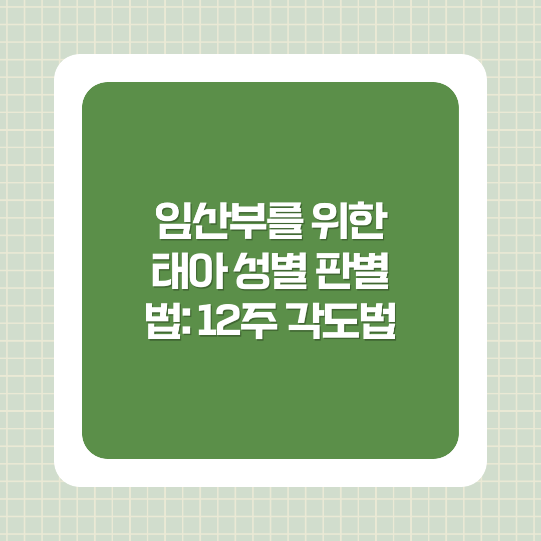 임산부를 위한 태아 성별 판별법 12주 각도법