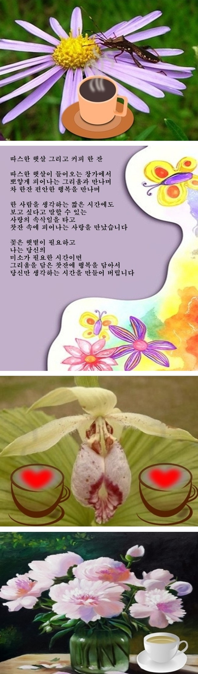 따스한 햇살 그리고 커피 한 잔