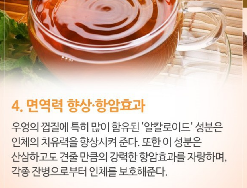 우엉차 효능 부작용