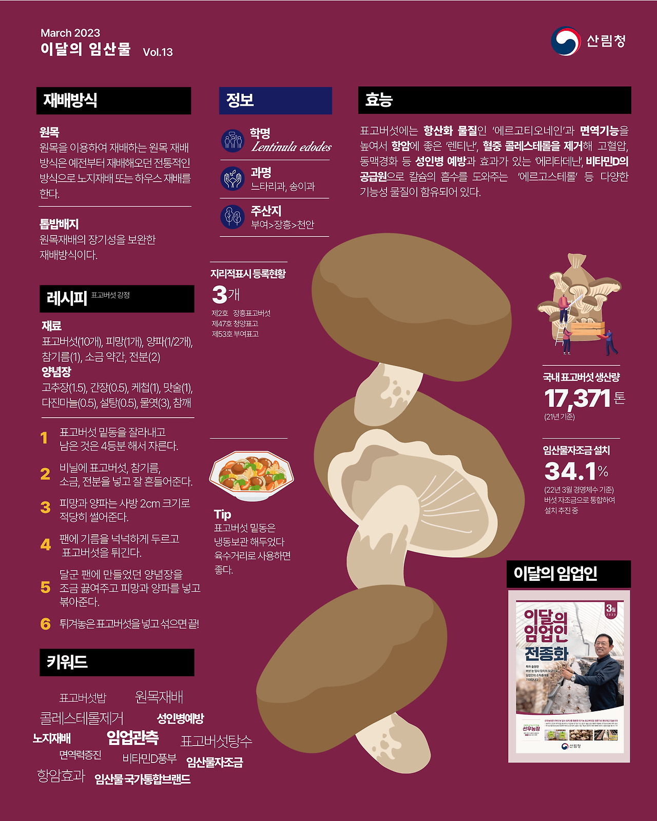 산림청표고버섯 특징 및 효능•효과