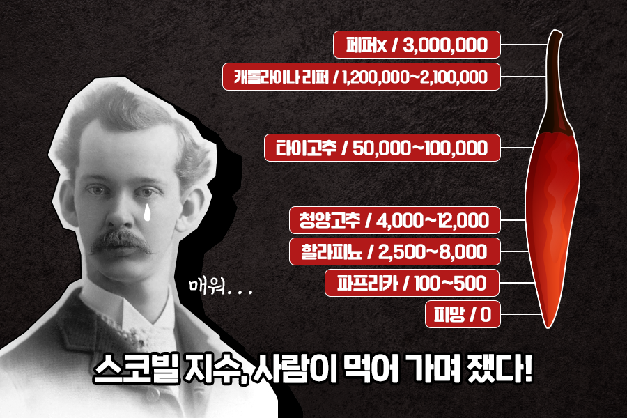 매운맛 없이 K푸드를 논하지 말라