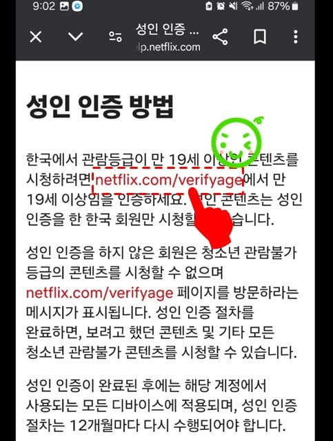 www.netflix.com/verifyage 접속하기