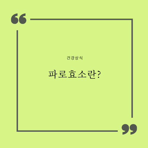 파로효소 효능과 좋은 파로효소 제품 고르는 방법