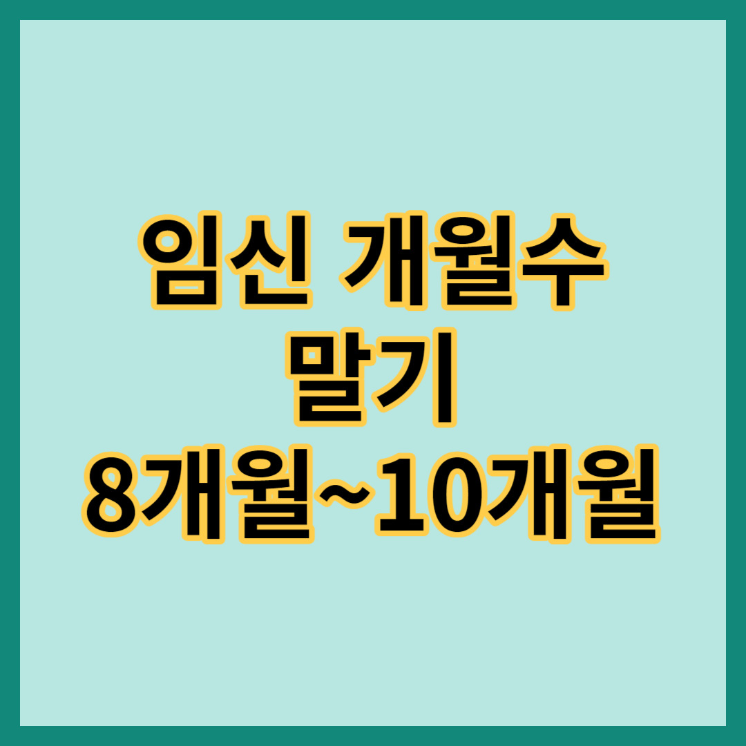 임신 개월수 8개월~10개월 임신 말기 알아보기
