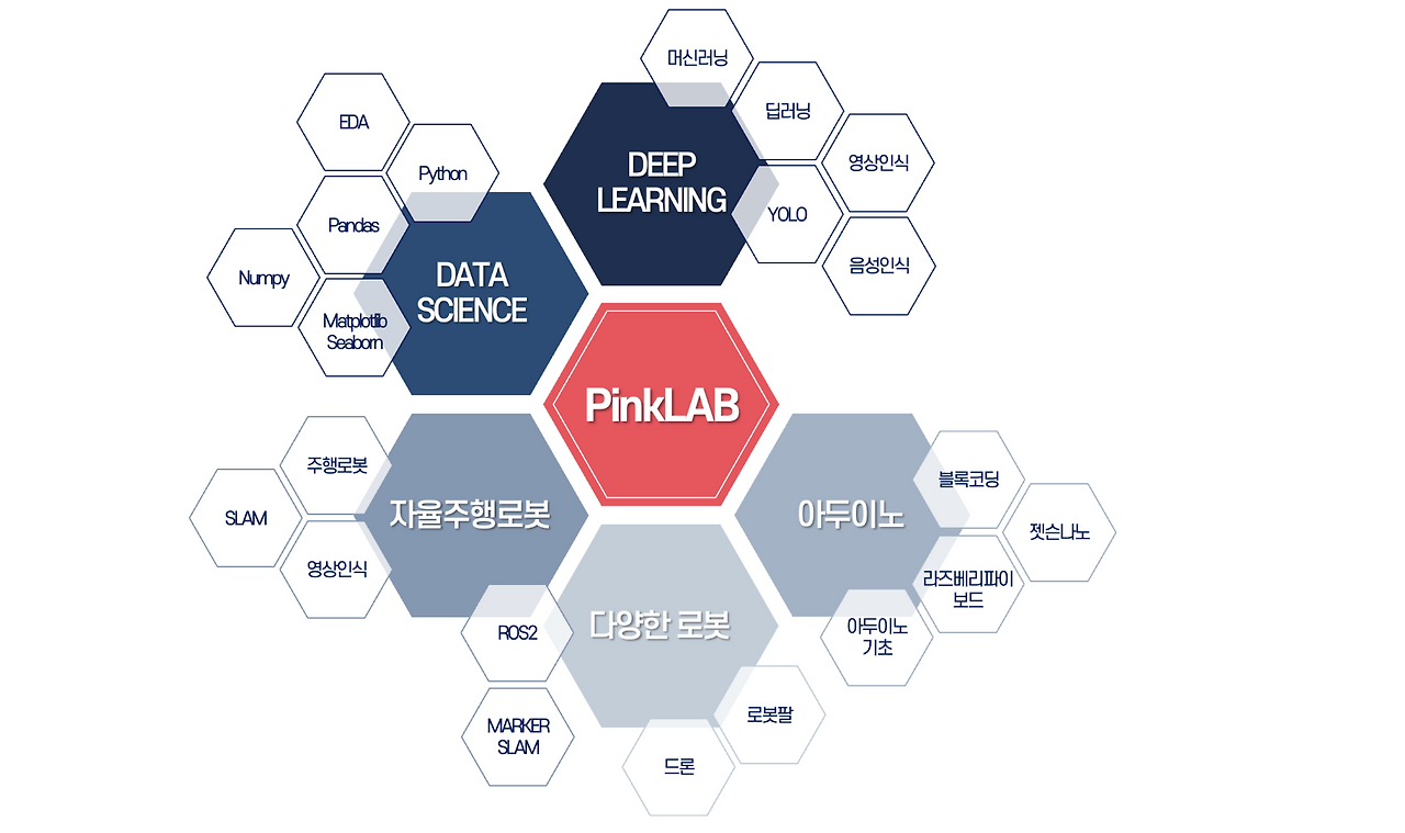 2022년 PinkWink 결산