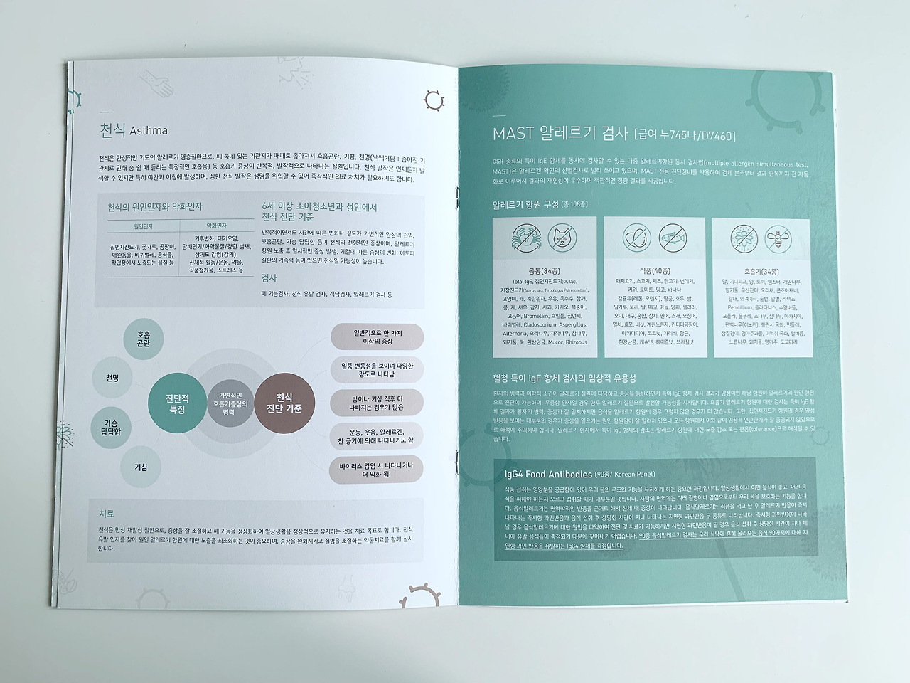 피부과 알레르기 검사 비용 Mast 검사