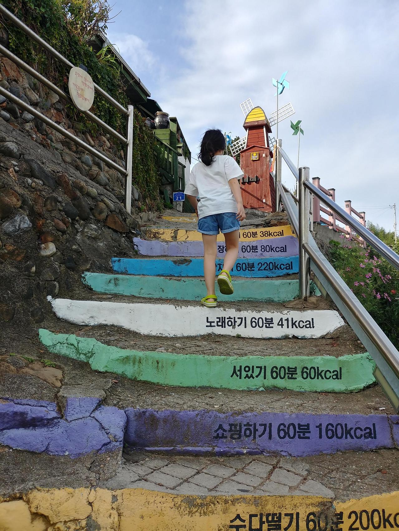 도째비골 스카이밸리 And 해랑전망대 100배 즐기는 여행 Tip 강원도 동해 여행