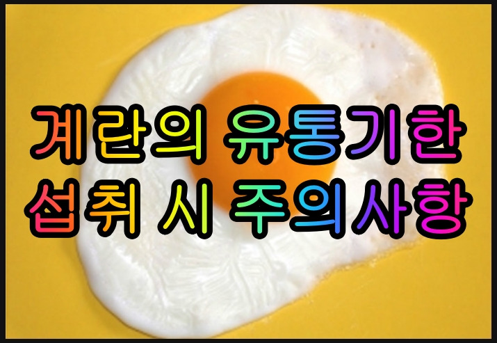 반찬으로 간식으로 또 다이어트 식단으로 많은 분들이 좋아하는 식재료중 하나가 바로 계란입니다
