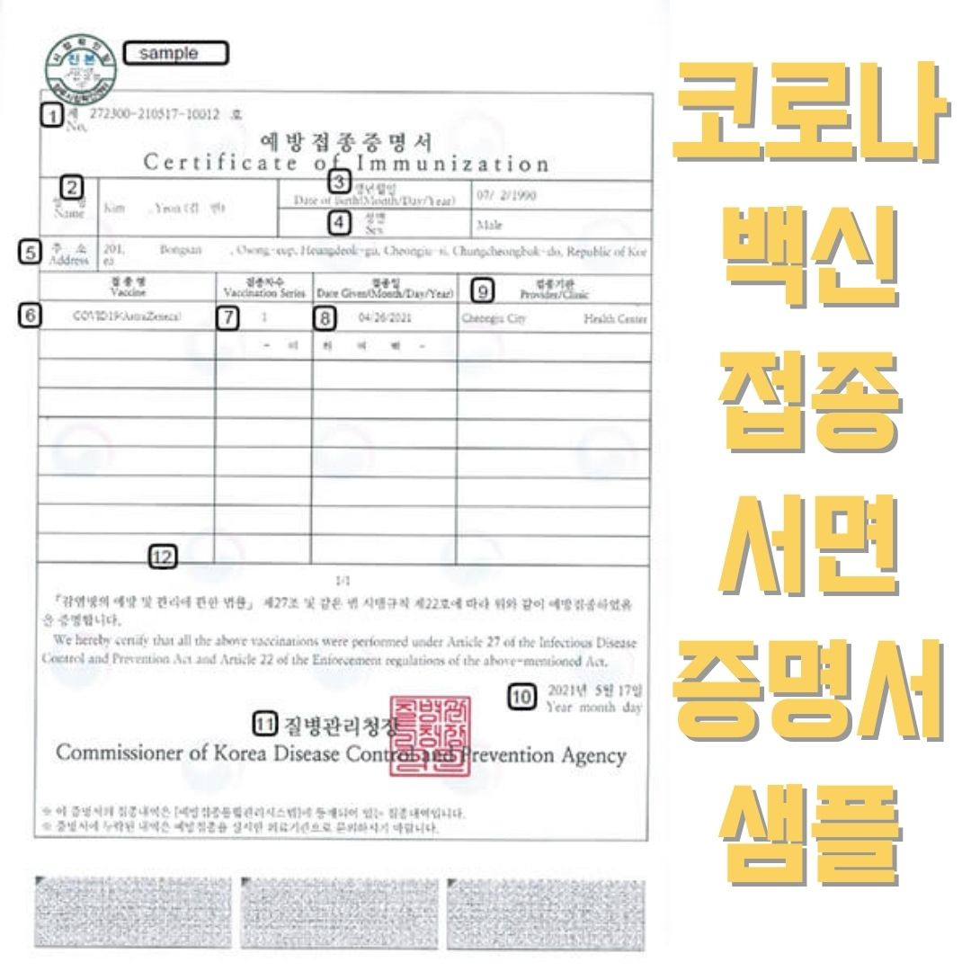 코로나 백신 접종 확인서 발급 방법 2가지