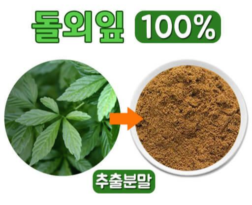 다이어트에 좋은 성분 돌외잎 효능 6가지 및 부작용