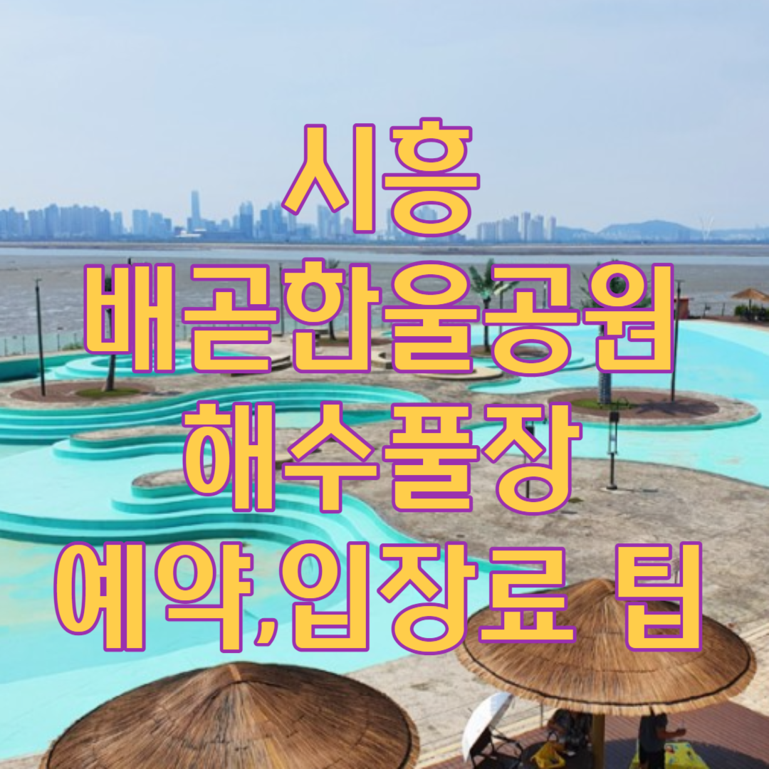 배곧한울공원 해수풀장부터 갯벌체험까지 다양한 매력이 가득한 공원