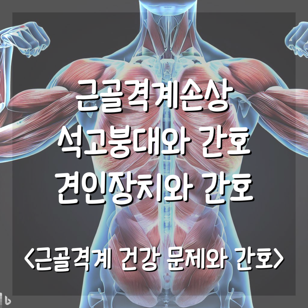 근골격계 건강 문제와 간호 근골격계손상석고붕대와 간호견인장치와 간호