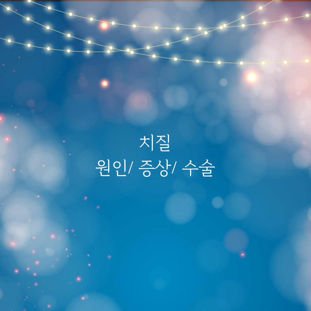 직장과 항문질환치질 원인증상수술자가진단비용