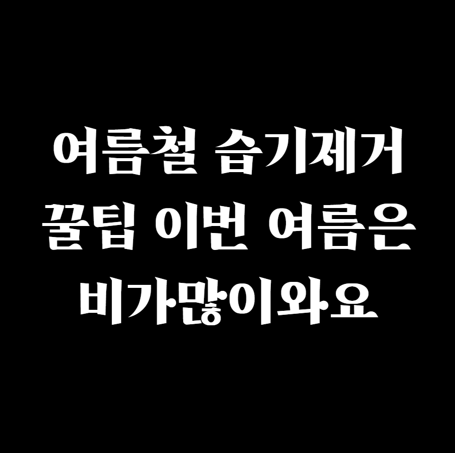 여름철 습기제거 꿀팁 이번 여름은 비가많이와요