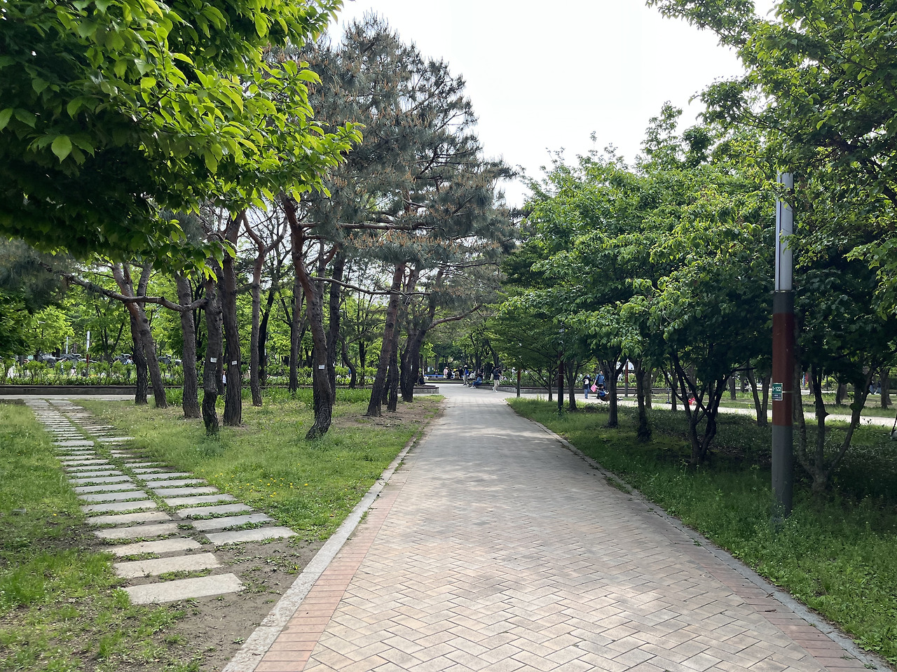화사하고 특별한 성수동 데이트 추천드려요서울숲 튤립 축제 And 가볼 만한 곳